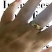 Engraved Sauron the One Ring Replica Elvish Script Ring Fantasy Jewelry ...