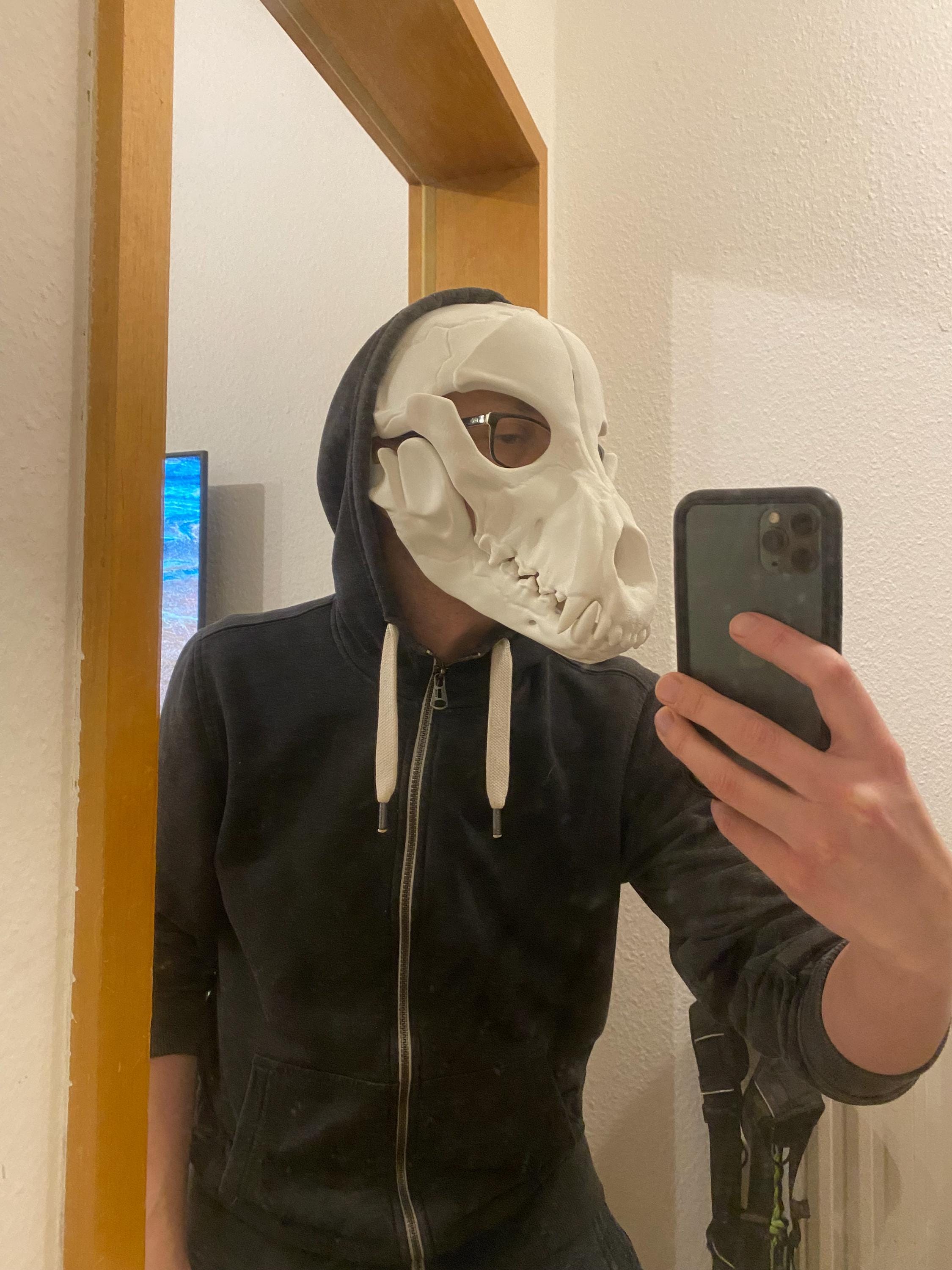 Dog Skull Skull With Movable Lower Jaw for Cosplayers or Furries, Also ...