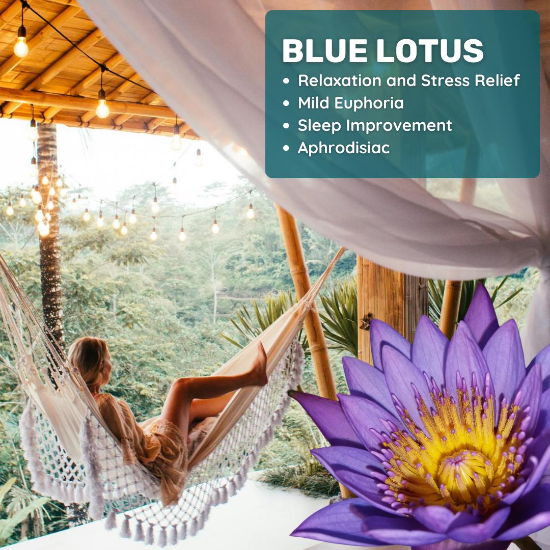 Blue Lotus 400 Mg Capsules. Highly Concentrated 200:1 Extract. No ...
