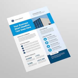 One Pager Template | Business Executive Summary | Company White Paper ...