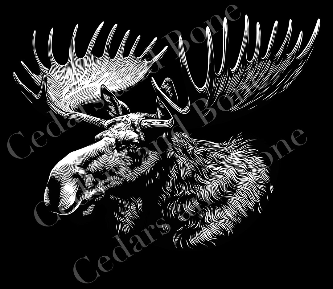 Bull Moose Digital Download | Indigenous Animal Illustration | PNG ...