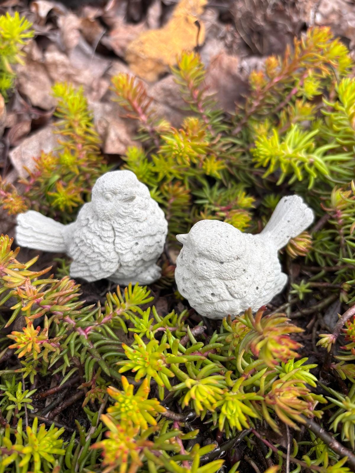 4 Pieces Set. Concrete Birds. Small Statues for Garden. - Etsy