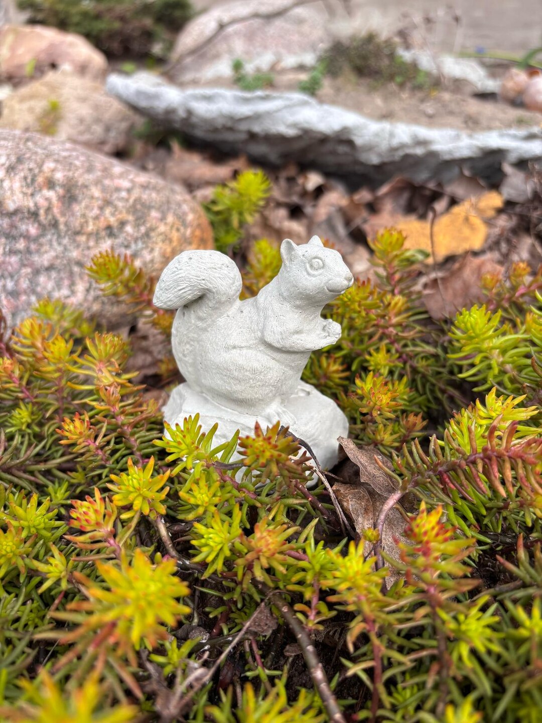 Decorative Squirrel. Concrete Squirrel. Squirrel on a Stone. Squirrel ...