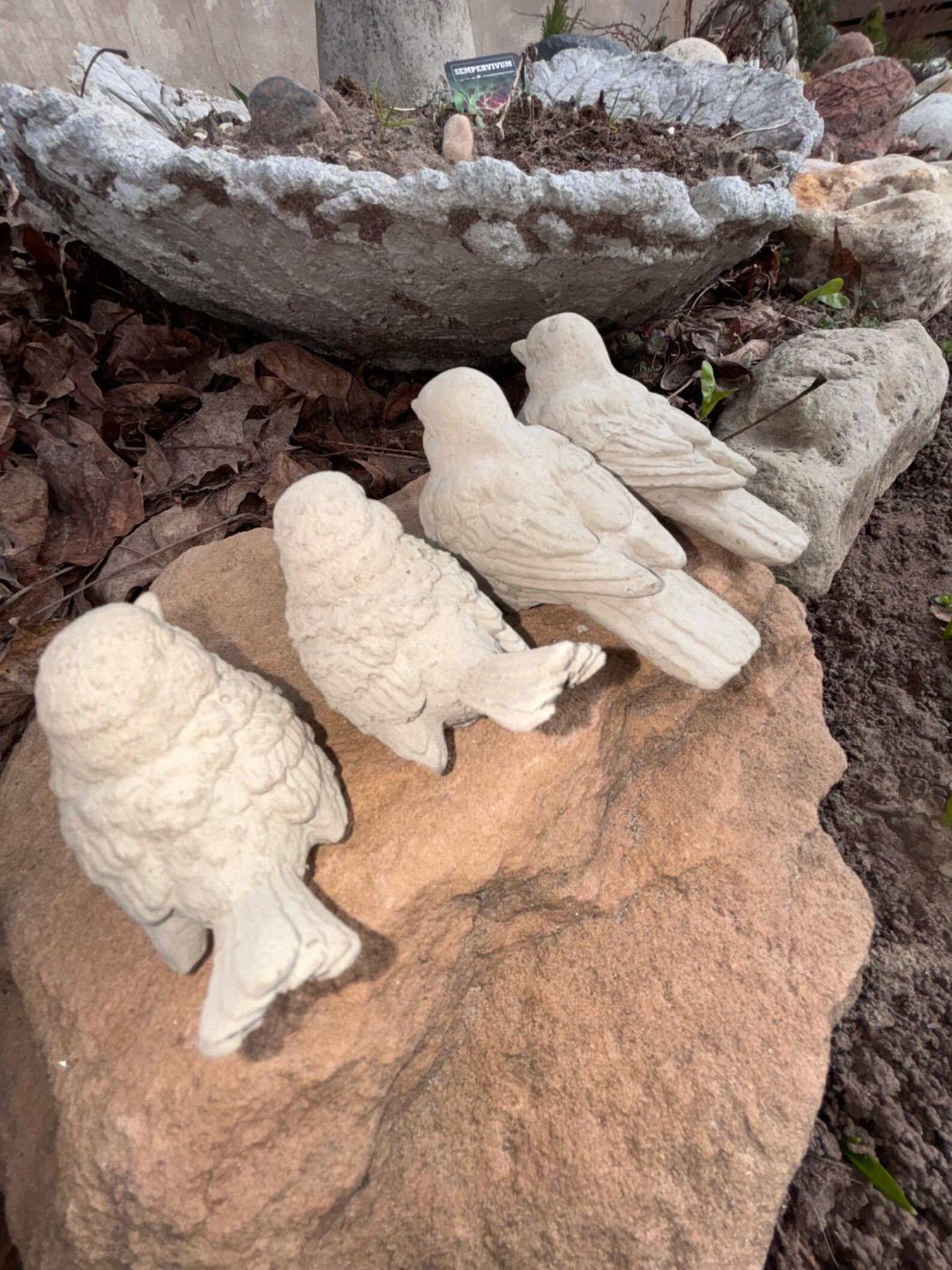 4 Pieces Set. Concrete Birds. Small Statues for Garden. - Etsy
