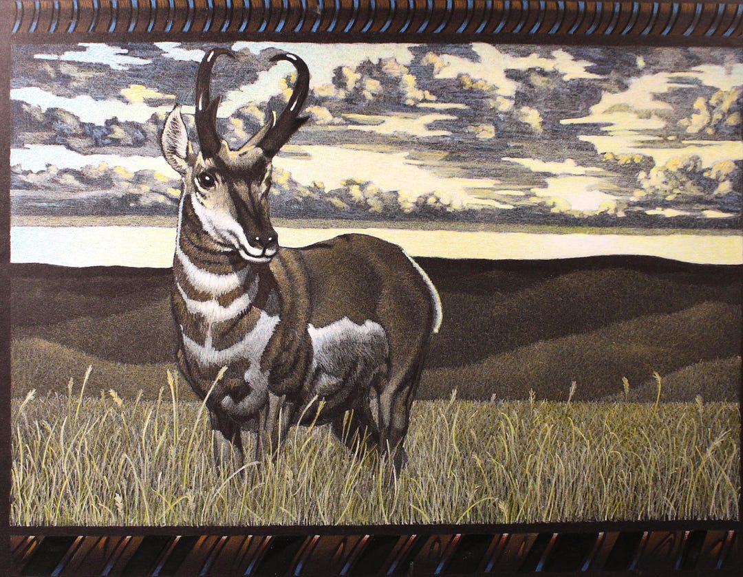 Prairie Flyer - Etsy
