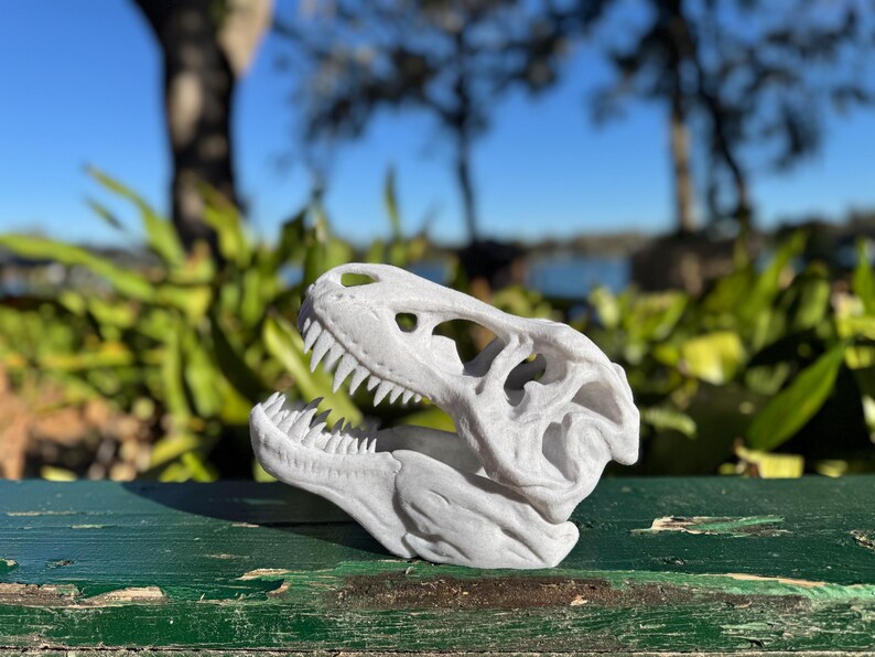 3D Printed T. Rex Skull Replica: Detailed Dinosaur Fossil Model - Etsy