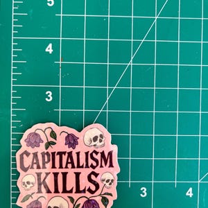Capitalism Kills Sticker, Holographic Anti-capitalist Vinyl Sticker ...