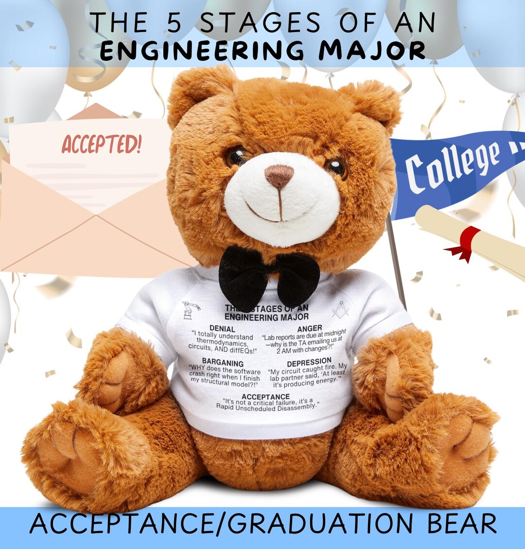 Engineering Major College Acceptance Gift, Graduation Teddy Bear ...