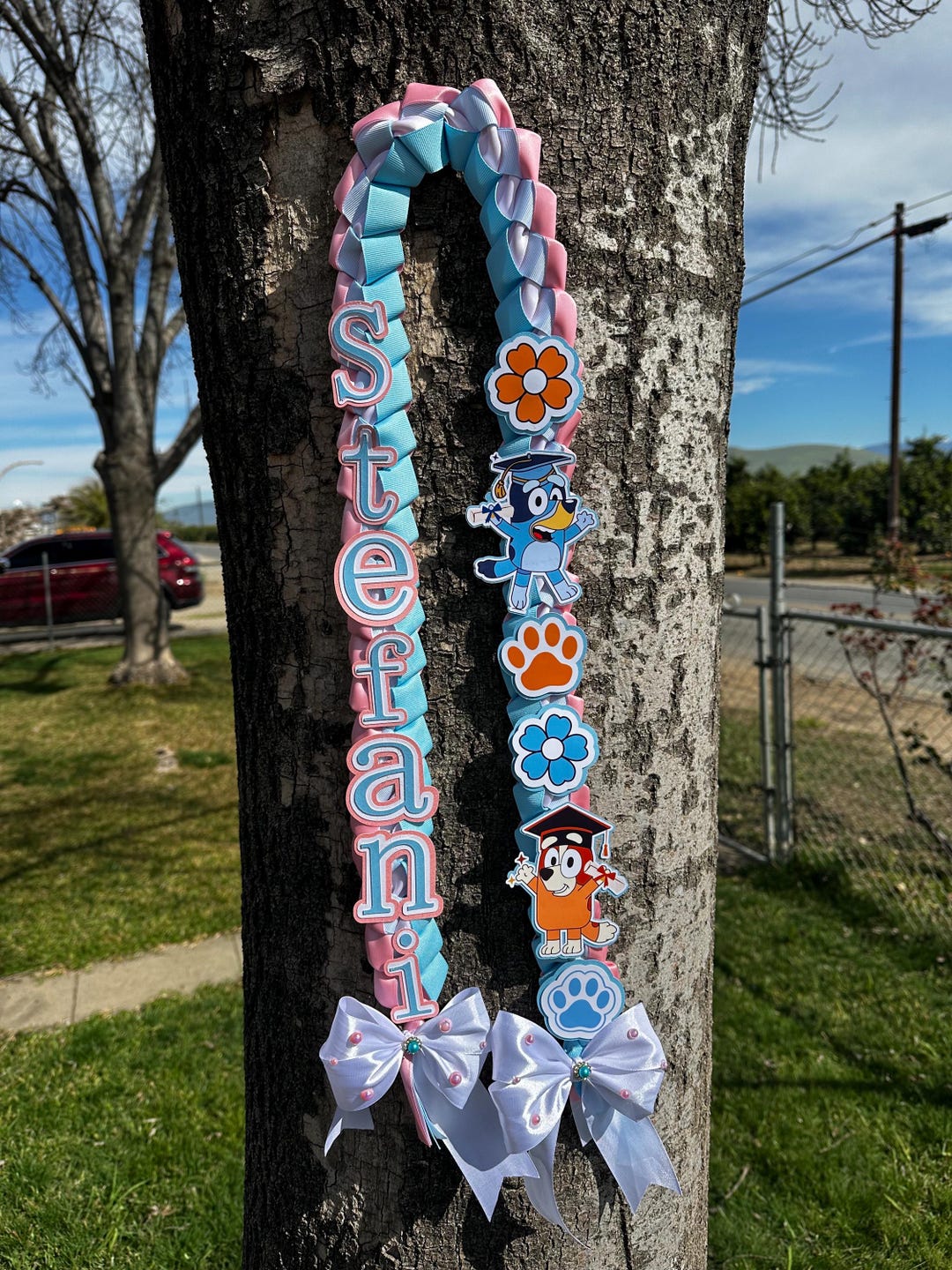 Bluey Graduation Lei - Etsy