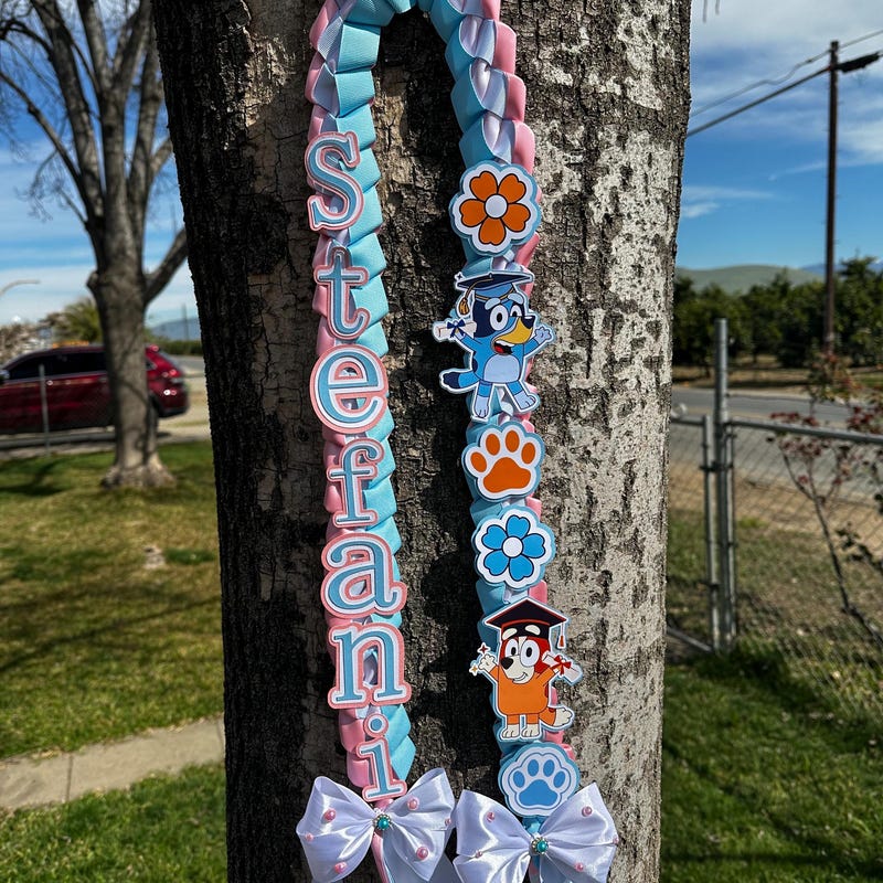 Bluey Graduation Cap - Etsy