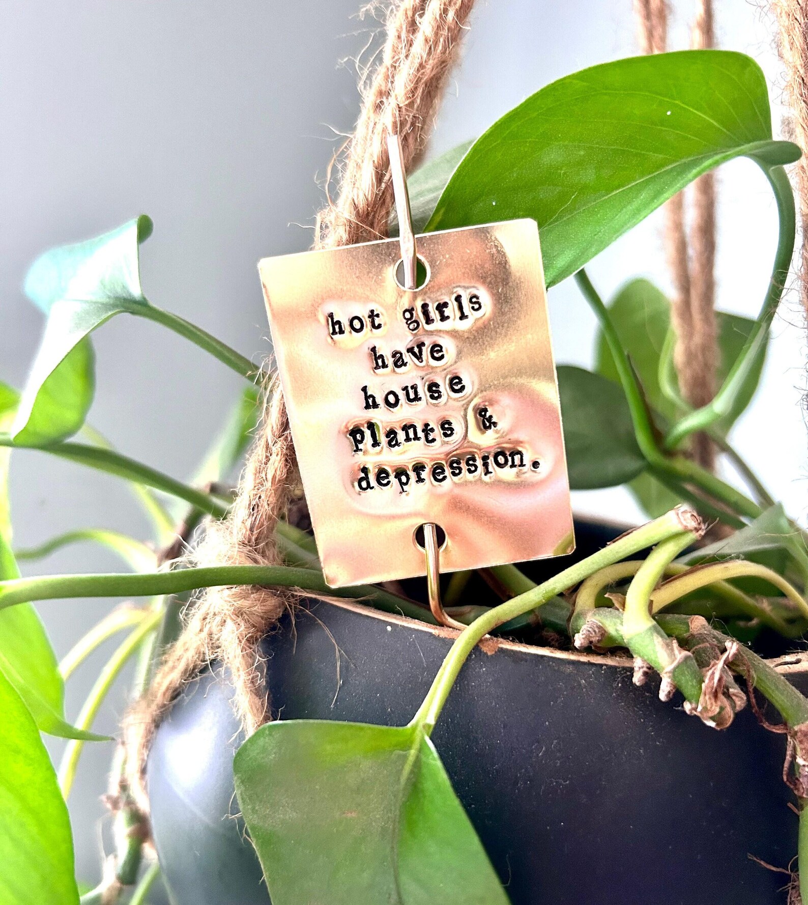 Hot Girls Have House Plants & Depression, Plant Stake, Plant Marker ...
