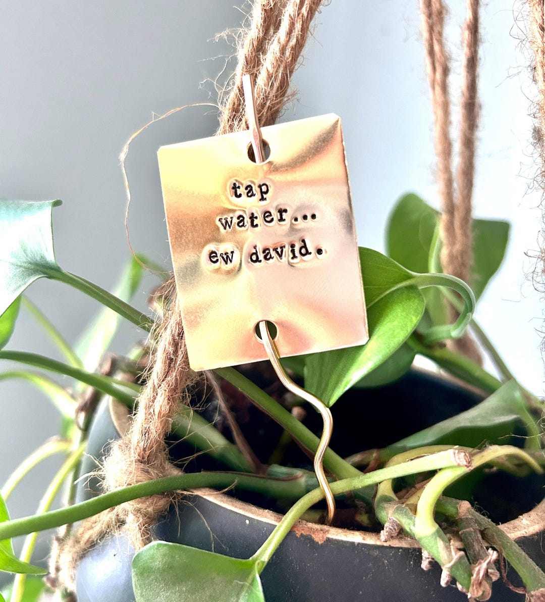 Tap Water Ew David, Plant Stake, Plant Marker, Funny Plant Lover Gift ...