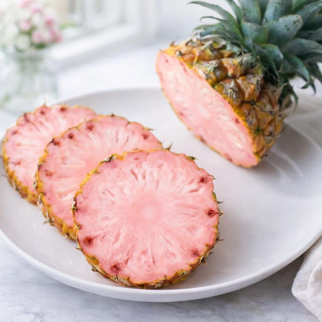 15+ Ripley Pineapple Seeds | Rare Pink Pineapple Fruit | Tropical ...