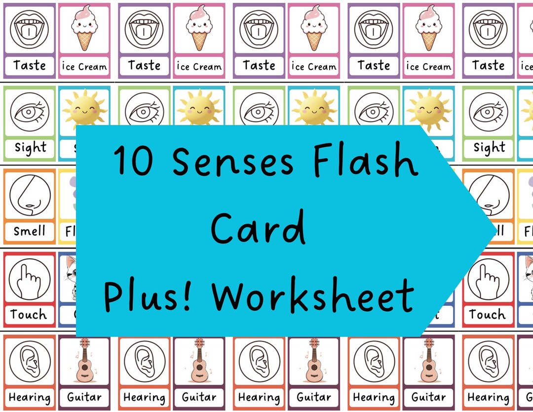 5 Senses Flash Cards & Worksheet: Preschool Montessori Learning ...