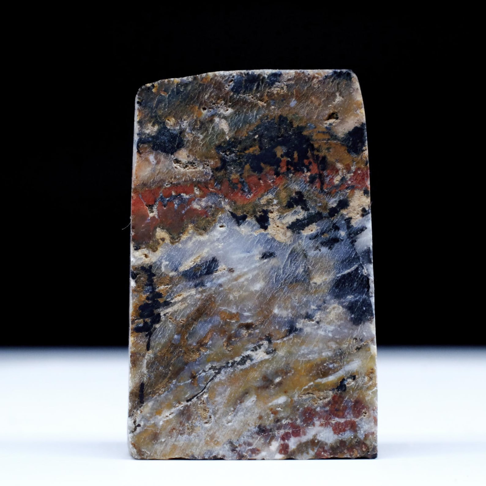 Rare Opalized Petrified Wood – Fossilized Ancient Wood With Opalescent ...