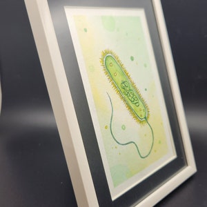 Pseudomonas Aeruginosa Watercolor Print - Framed - Etsy