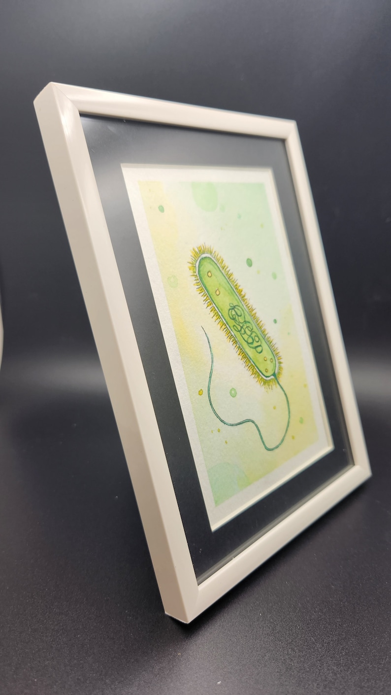 Pseudomonas Aeruginosa Watercolor Print - Framed - Etsy