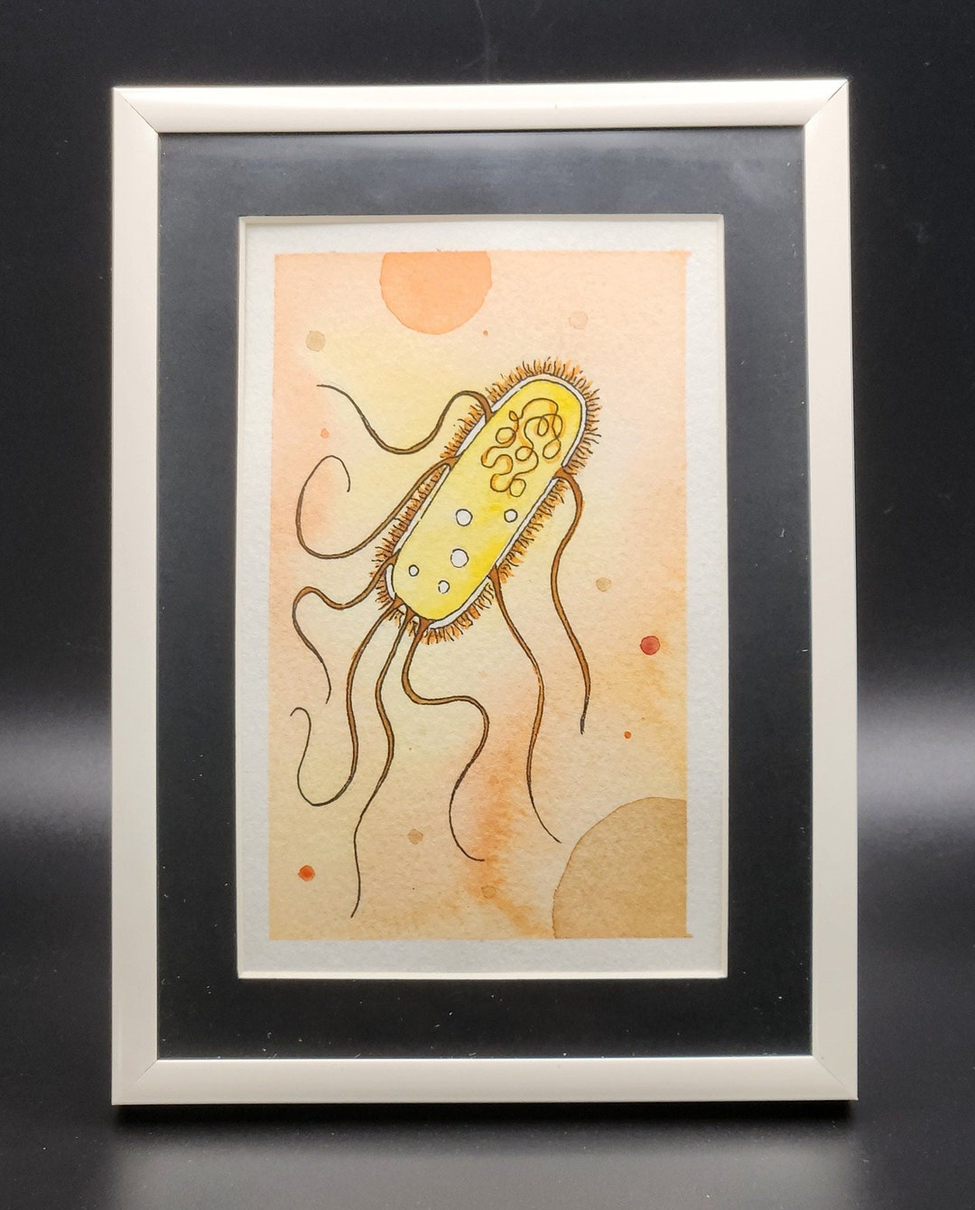 Escherichia Coli E. Coli Watercolor Print Framed - Etsy UK