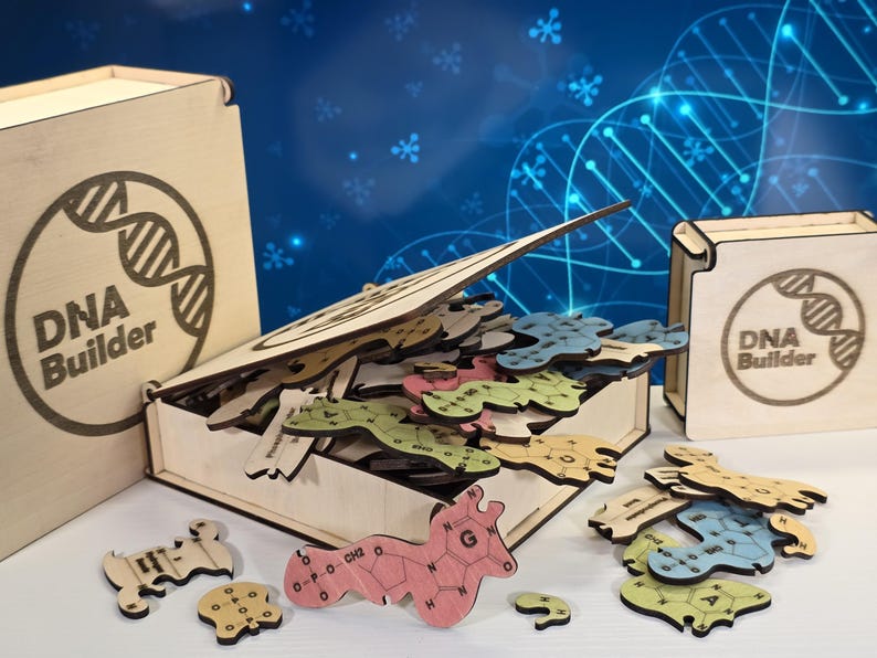 Wooden DNA Puzzle: Educational STEM Biology Toy - Etsy