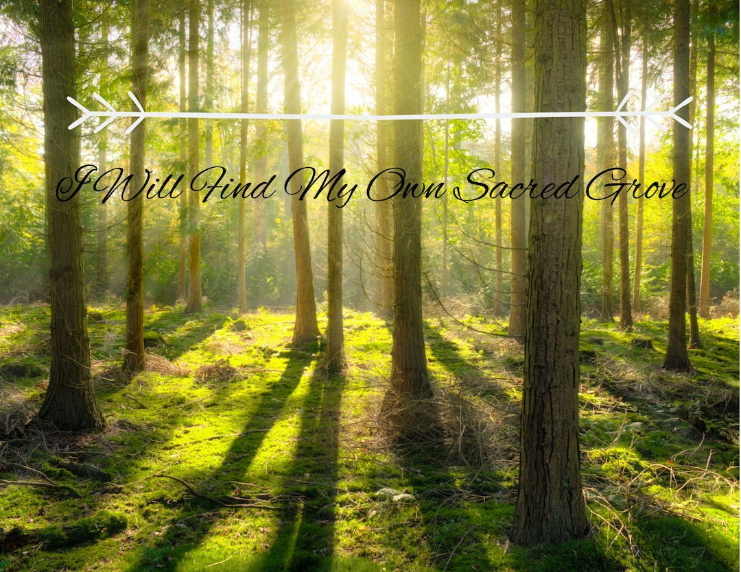 I Will Find My Own Sacred Grove D&C Lesson Handout Come Follow Me ...