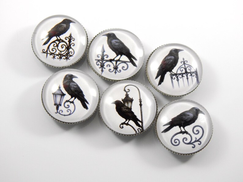 Gothic Raven Magnets – Dark Crow Glass Cabochon Set – Vintage Gate ...