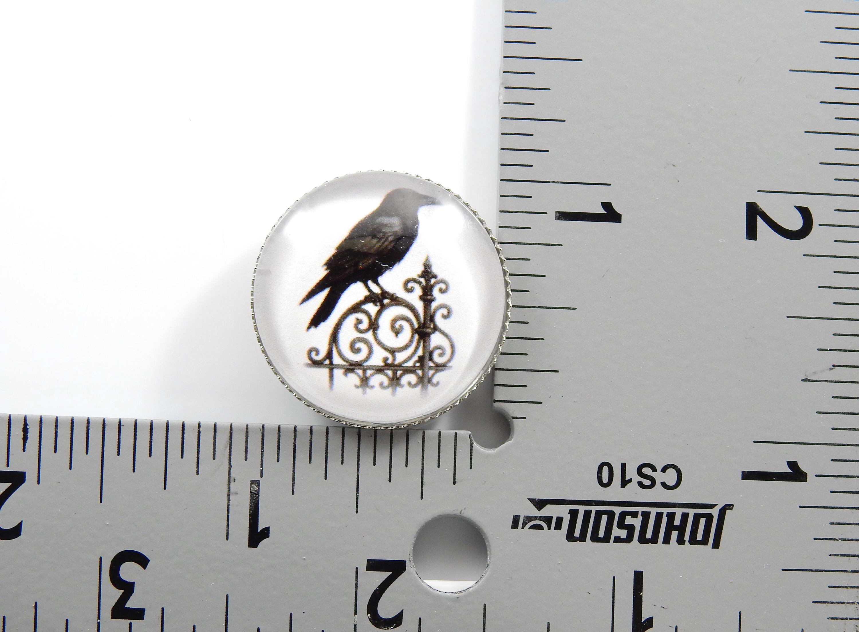 Gothic Raven Magnets – Dark Crow Glass Cabochon Set – Vintage Gate ...