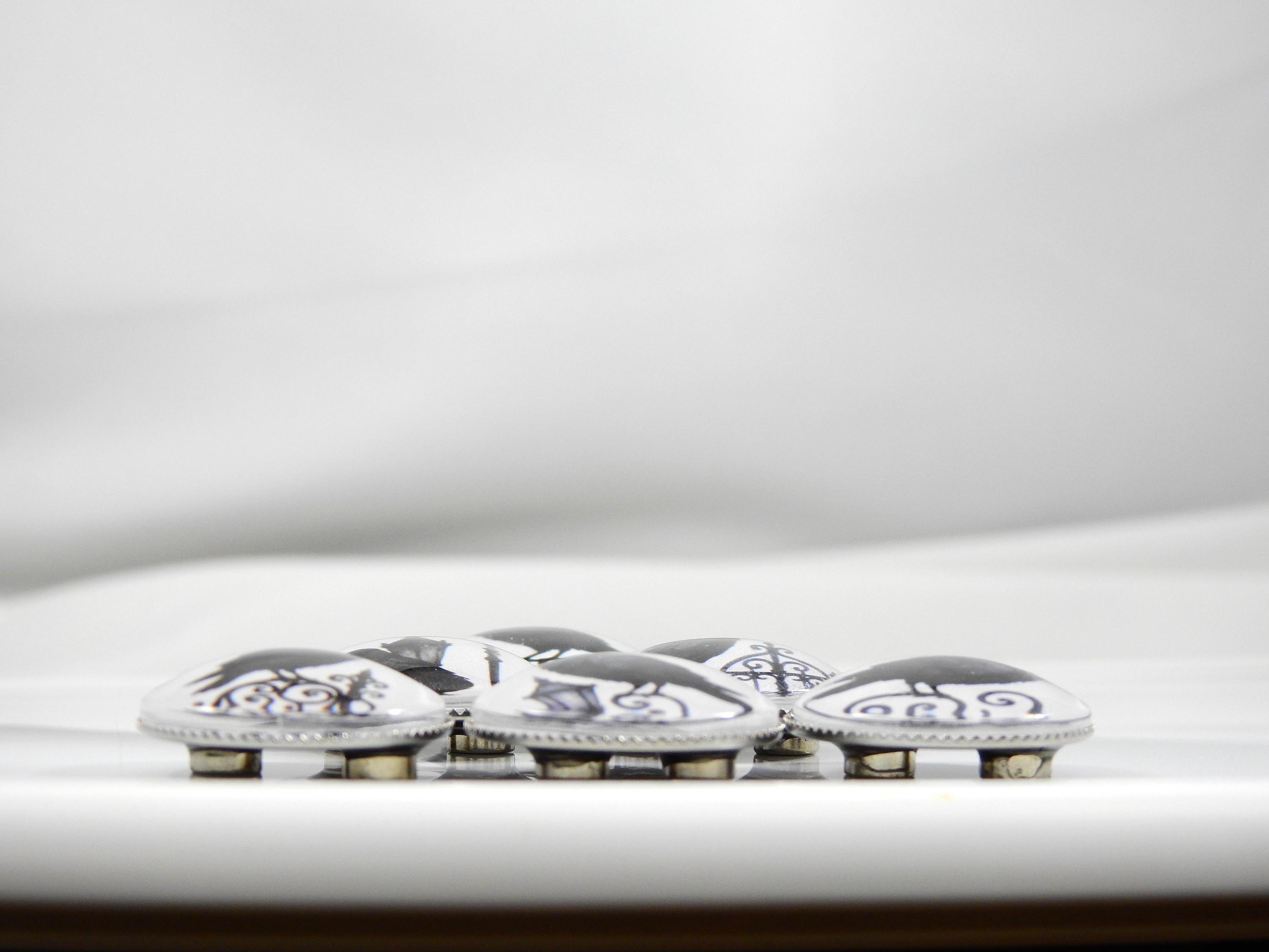 Gothic Raven Magnets – Dark Crow Glass Cabochon Set – Vintage Gate ...