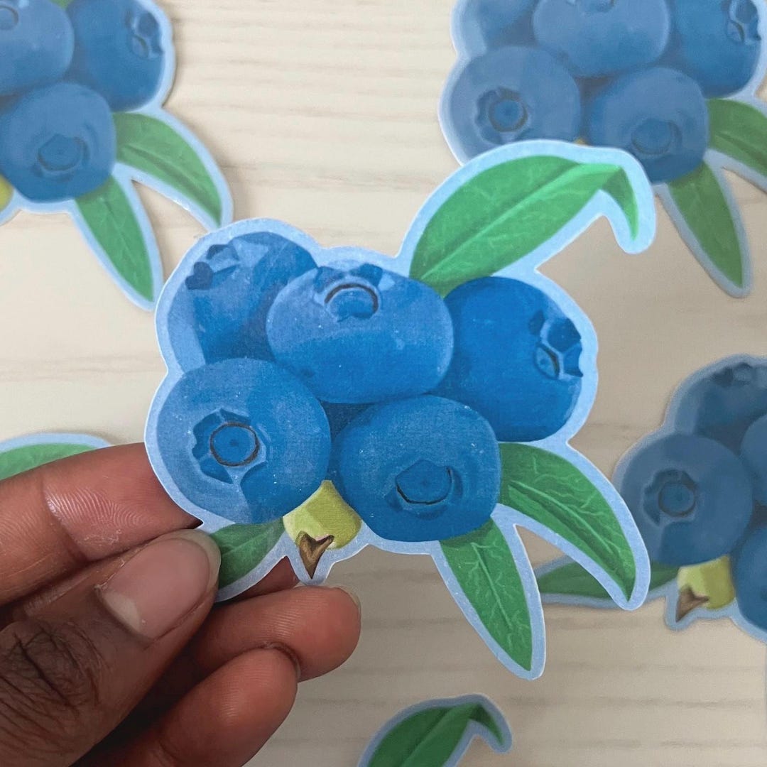 Blueberry Sticker | Waterproof Vinyl Decal for Laptop, Journal - Etsy