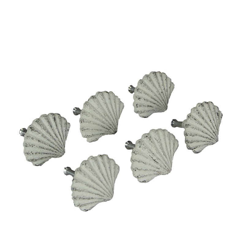 Shell Drawer Pull - Etsy