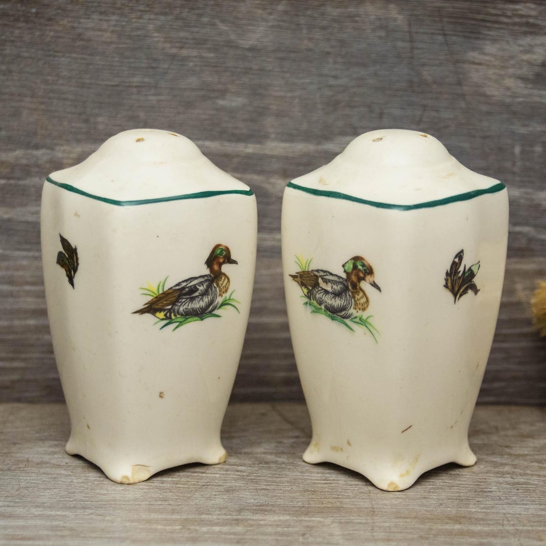 Vintage Salt & Pepper Cruet Set, Rustic Country Kitchen Design. - Etsy