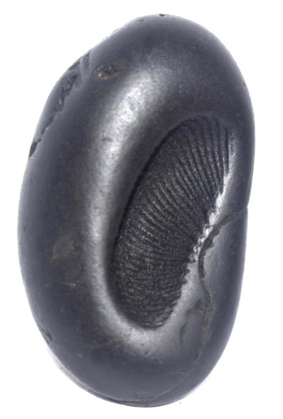 Sarvottam Laxmi Hrishikesha Parshuram Shaligram - Gandaki River Nepal ...