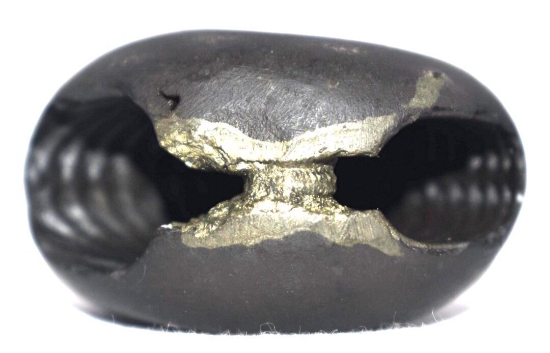 Rare Golden Narsimha Shaligram : Damshtrikarala Narasimha Salagram - Gandaki River Nepal - Etsy