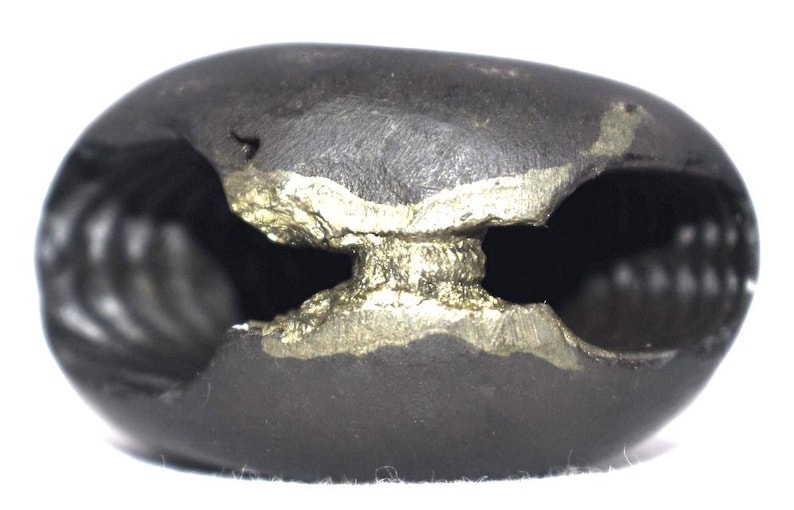 Rare Golden Narsimha Shaligram : Damshtrikarala Narasimha Salagram - Gandaki River Nepal - Etsy