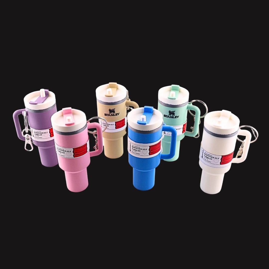 Mini Stanley Cup Keychain – Hidden Storage Tumbler - Etsy