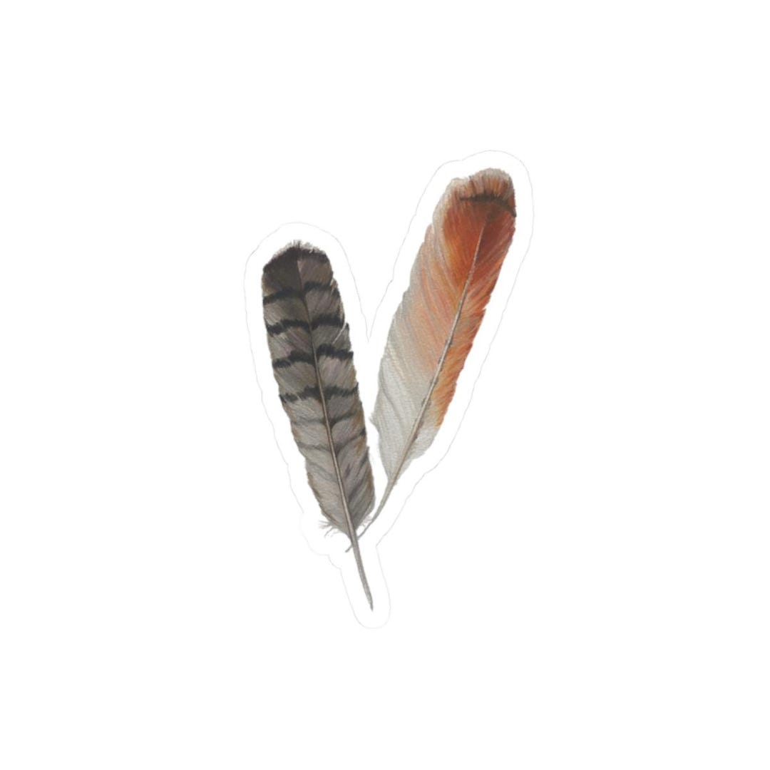 Red Tail Hawk Feather Sticker | Hand Drawn Artwork - Etsy
