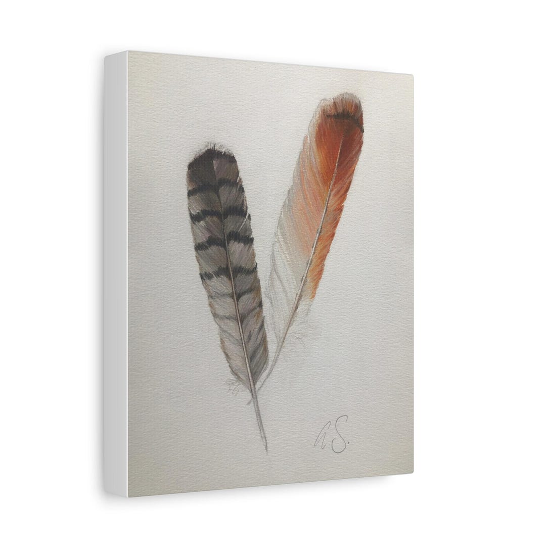 Red Tail Hawk Feather Sketch | Print on Canvas Wall Art | Boho ...