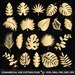 40 Tropical Leaves Bundle SVG PNG, Jungle Palm Leaf Clipart, Tropical ...