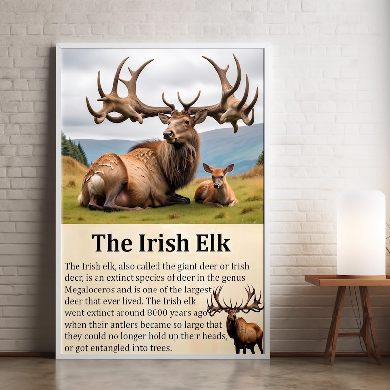 Irish Elk - Etsy
