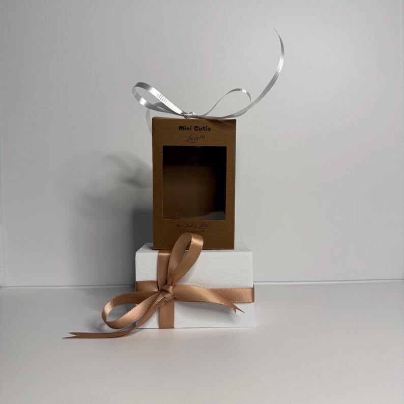 Brown Sticker Display Box With Bow | Elegant November Pastel Gift Box ...