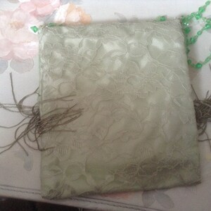 Victorian Celery Green Purse With Handle With Fringe and Flowers - Etsy