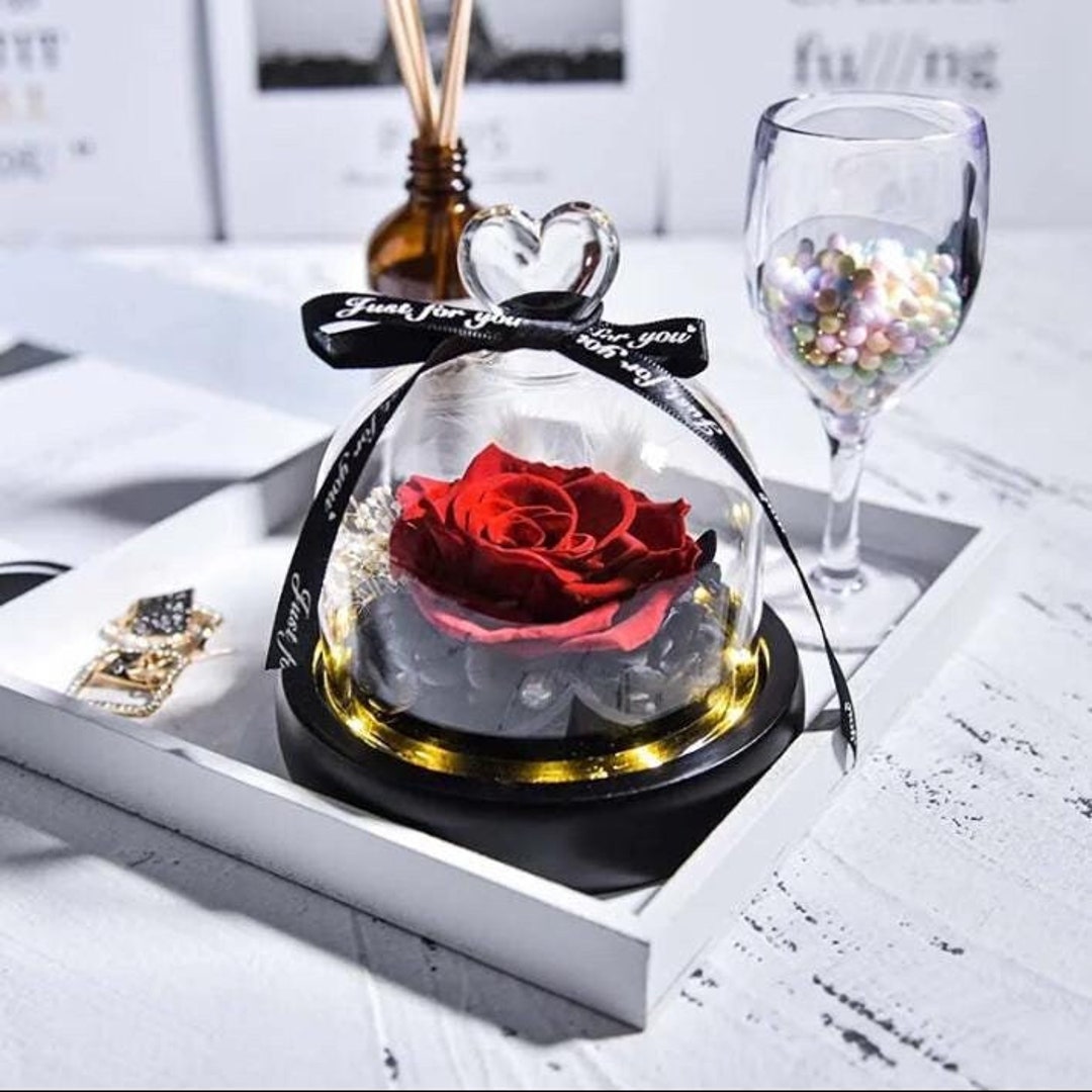 Eternal Real Roses in Glass With LED Lights - Etsy