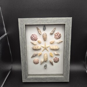Sea Shell and Starfish Shadow Box Art 5 X 7 - Etsy