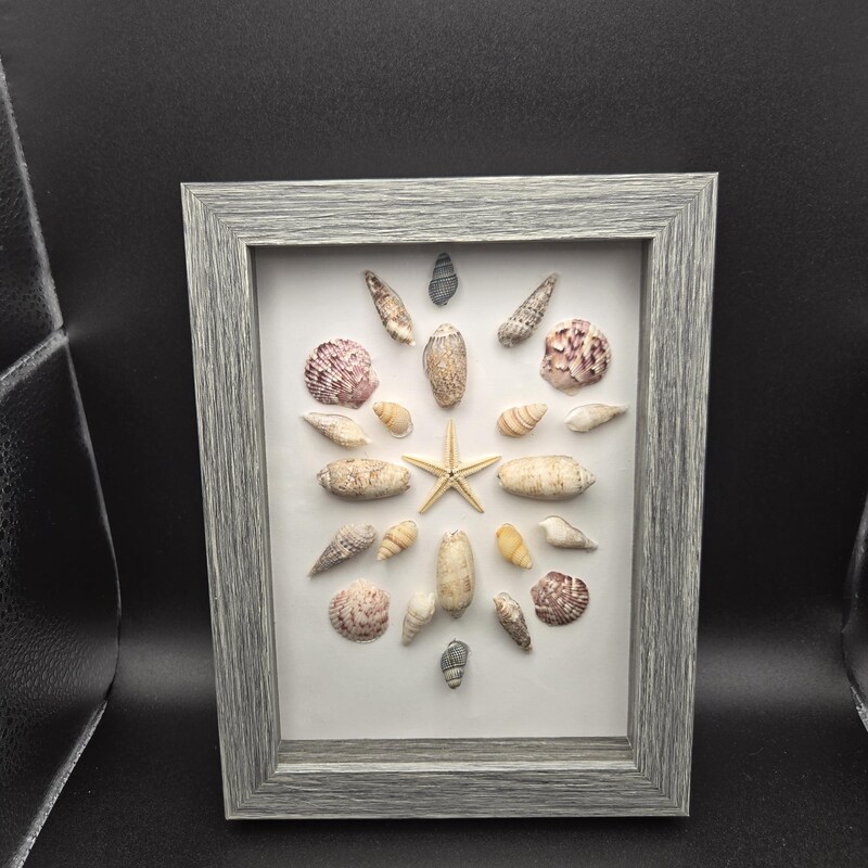 Shell Art Shadow Box - Etsy