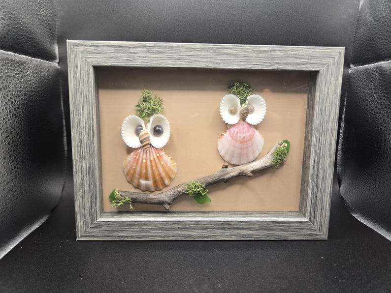 Sea Shell Owls Shadow Box Art 5 X 7 - Etsy