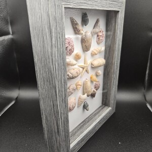 Sea Shell and Starfish Shadow Box Art 5 X 7 - Etsy