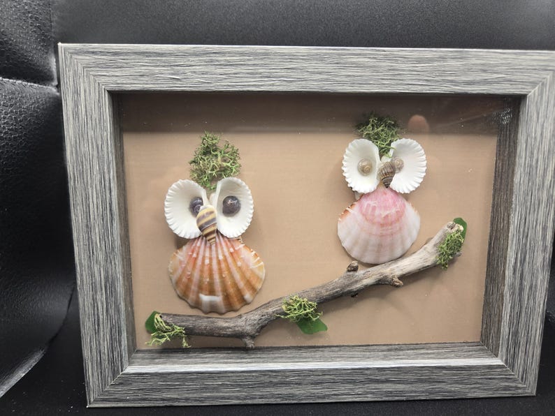Sea Shell Owls Shadow Box Art 5 X 7 - Etsy