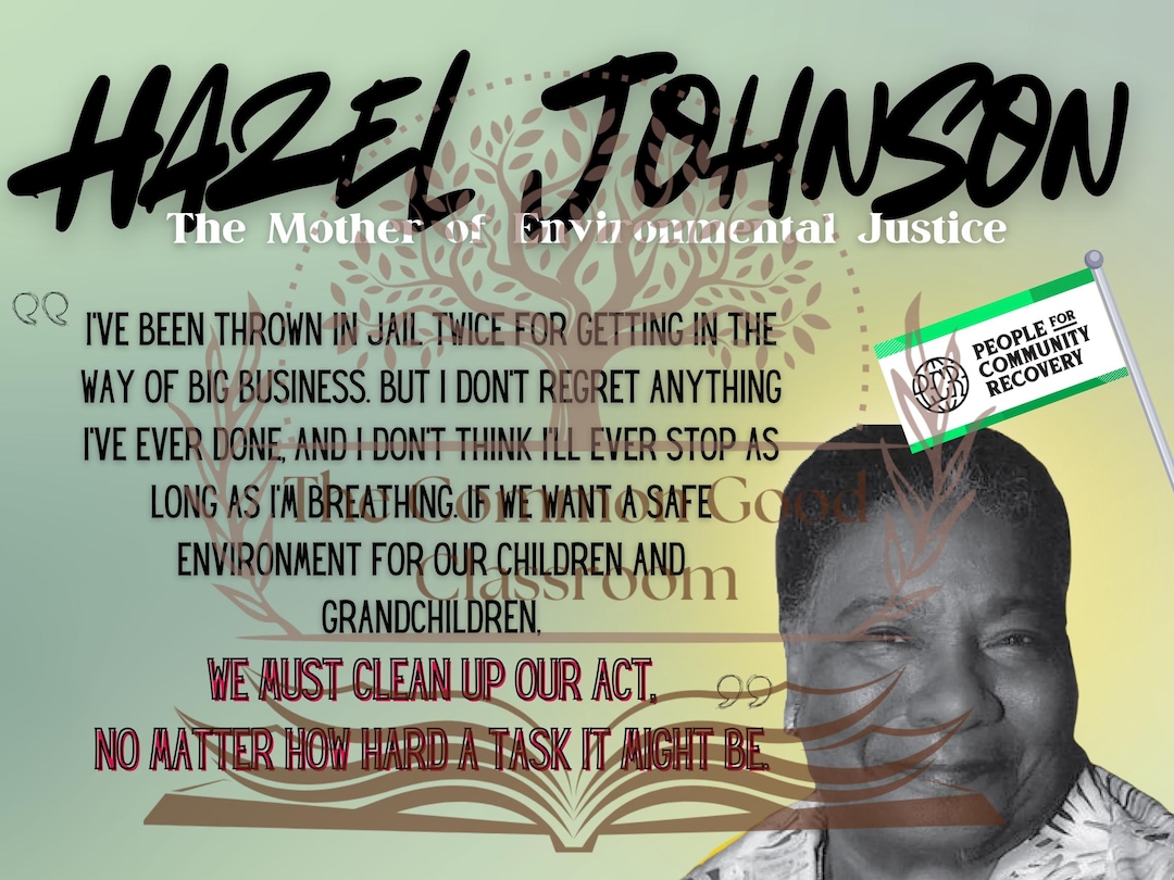 Heroes of Environmental Justice Poster Set - Etsy