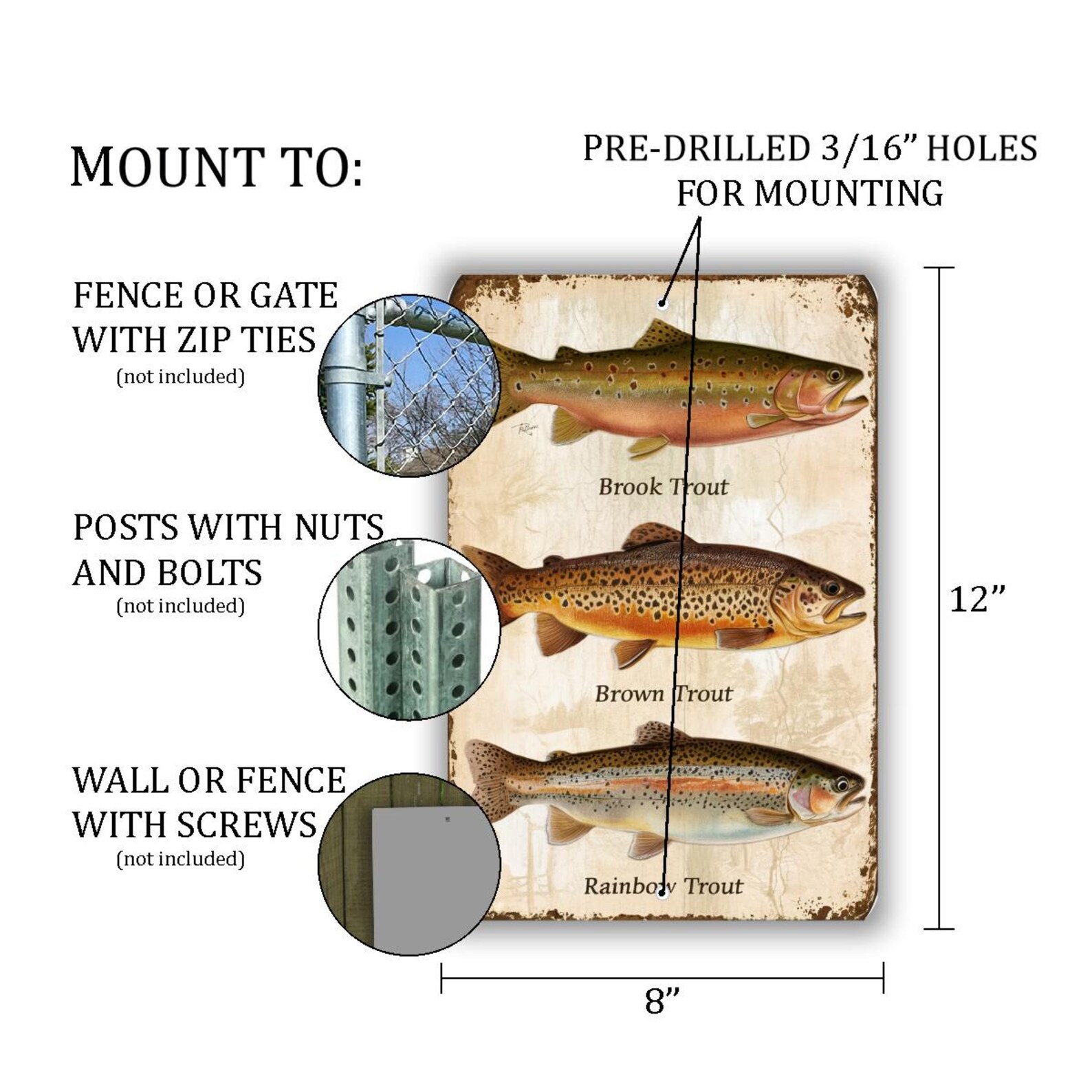 Rustic Trout Species Sign – Brook, Brown, and Rainbow Trout ...