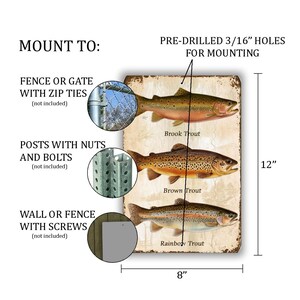 Rustic Trout Species Sign – Brook, Brown, and Rainbow Trout ...