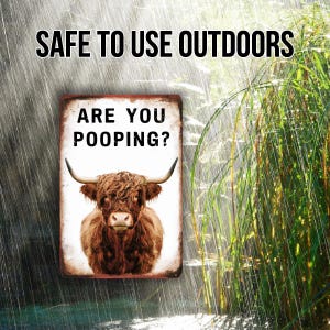 Funny Vintage "are You Pooping?" Cow Sign – Rustic Bathroom Decor – 8"x ...